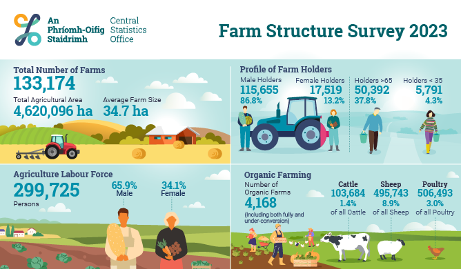 Home - CSO - Central Statistics Office